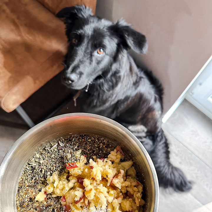 BALF: Natürliches Hundefutter aus Handarbeit in Deutschland – BALF ...